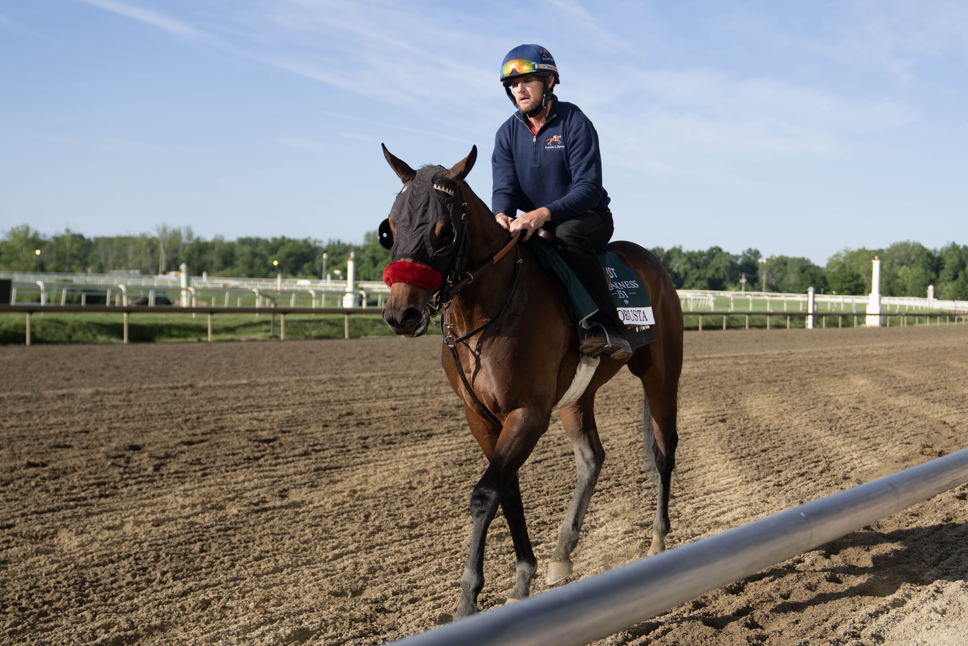 2026 Preakness Stakes Post Position Trends and Expert Handicapping