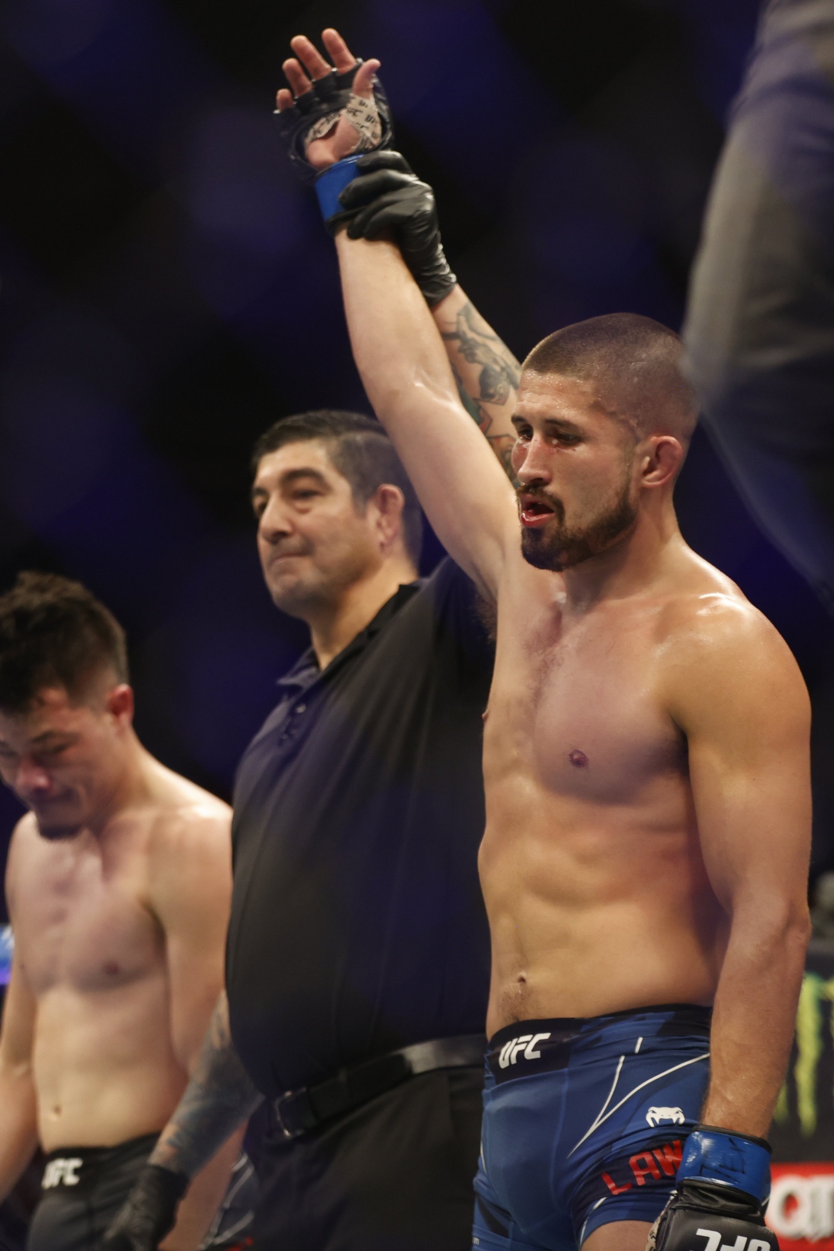 UFC Ronnie Lawrence: Religion, Family roots and Ethnicity